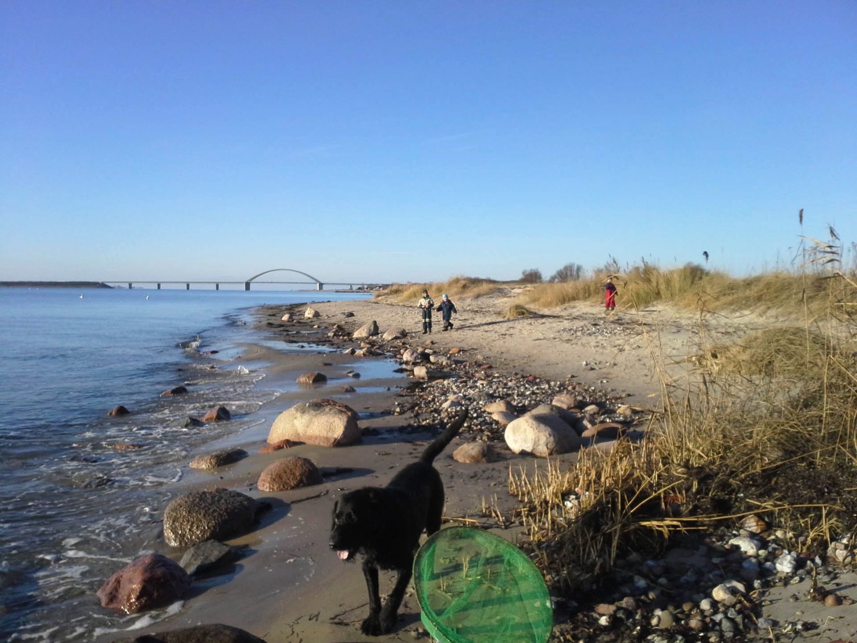 Ferien Mit Hund Auf Fehmarn